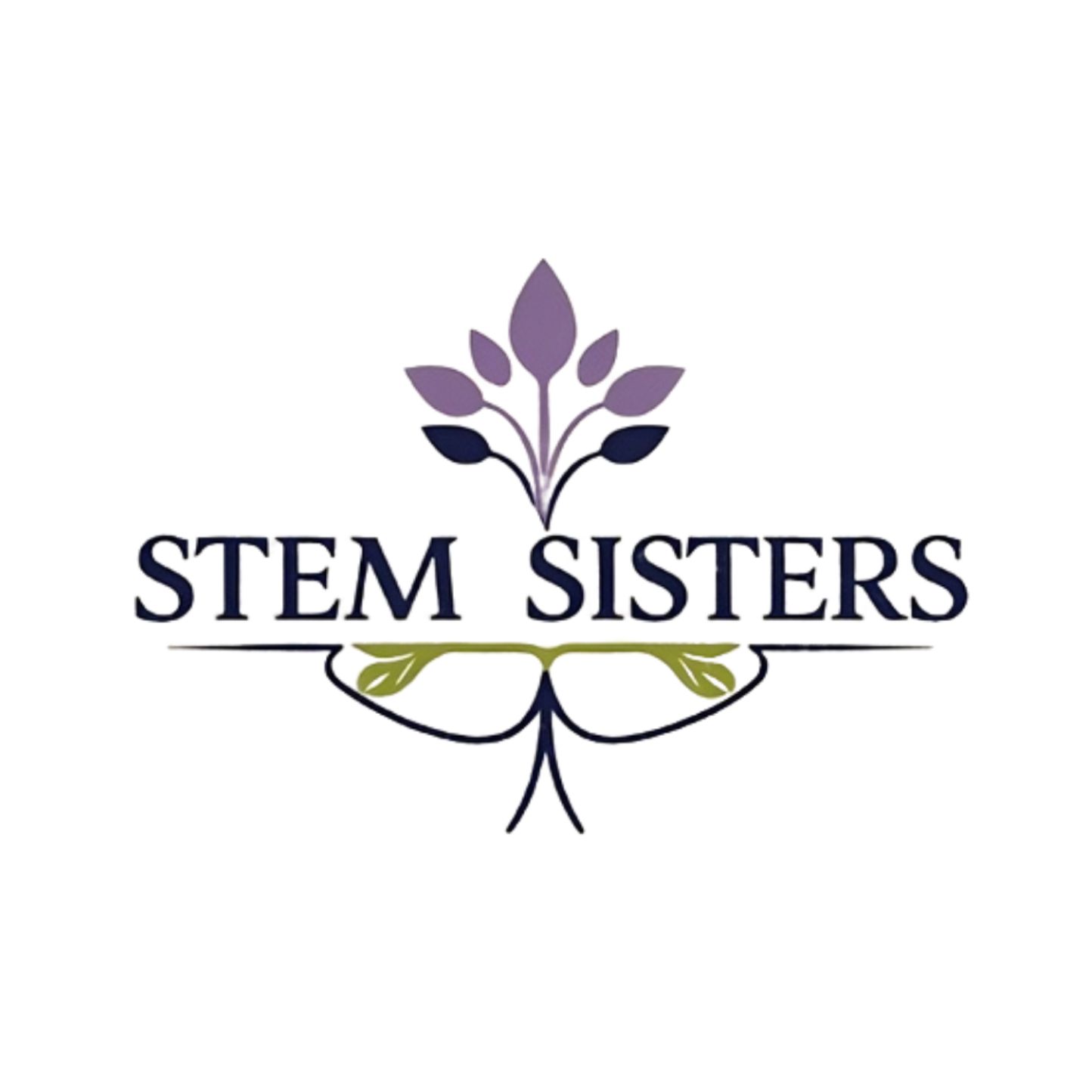 Gallery - STEM Sisters